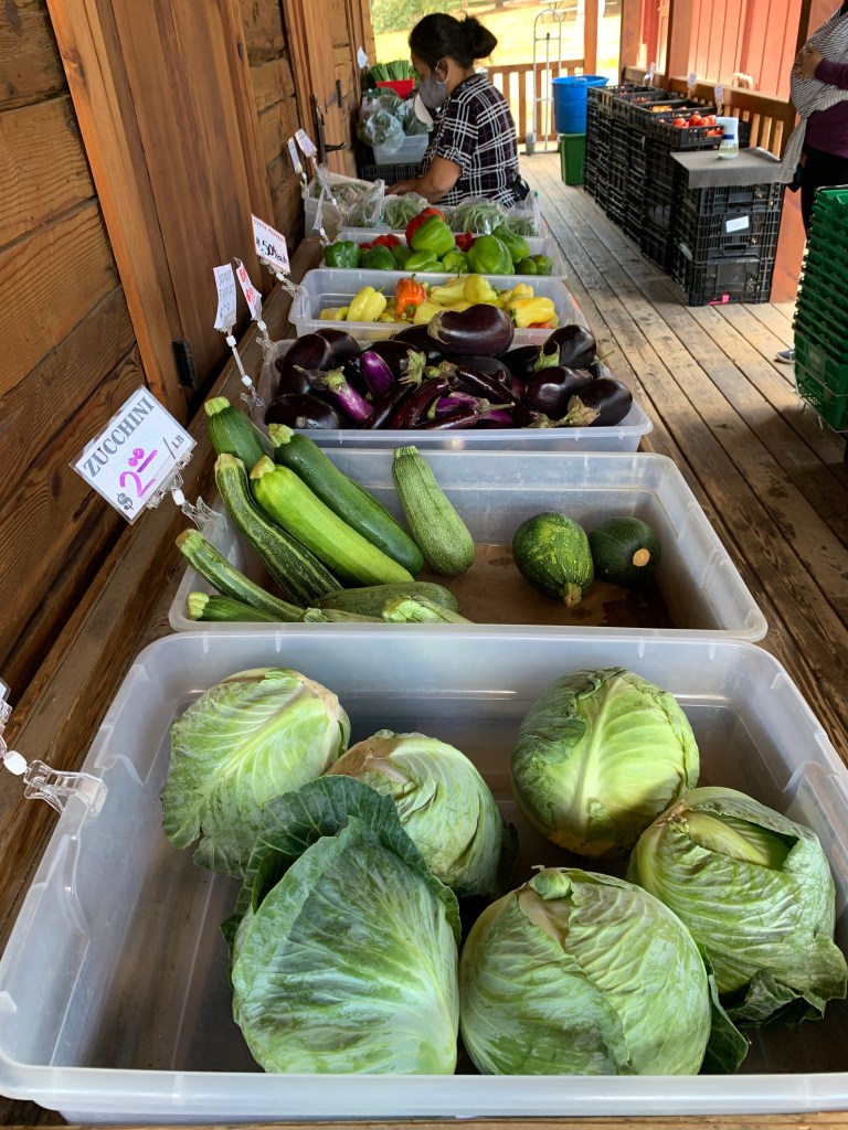 FARM STANDS – Operated by Cha New Life