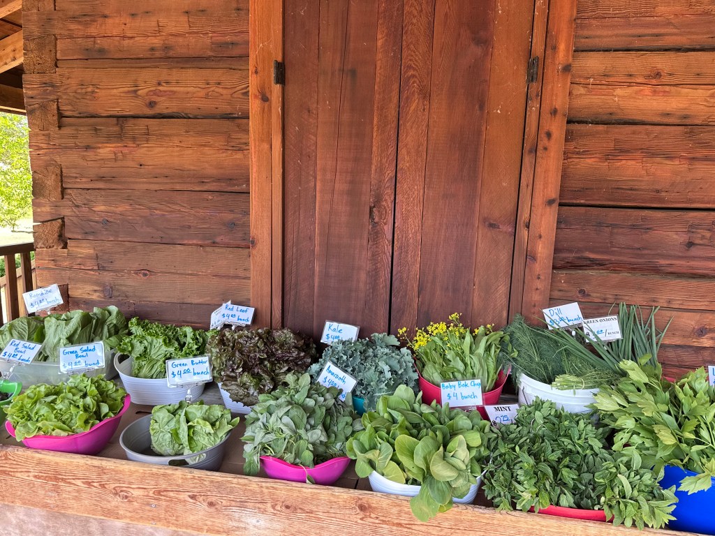 FARM STANDS – Operated by Cha New Life