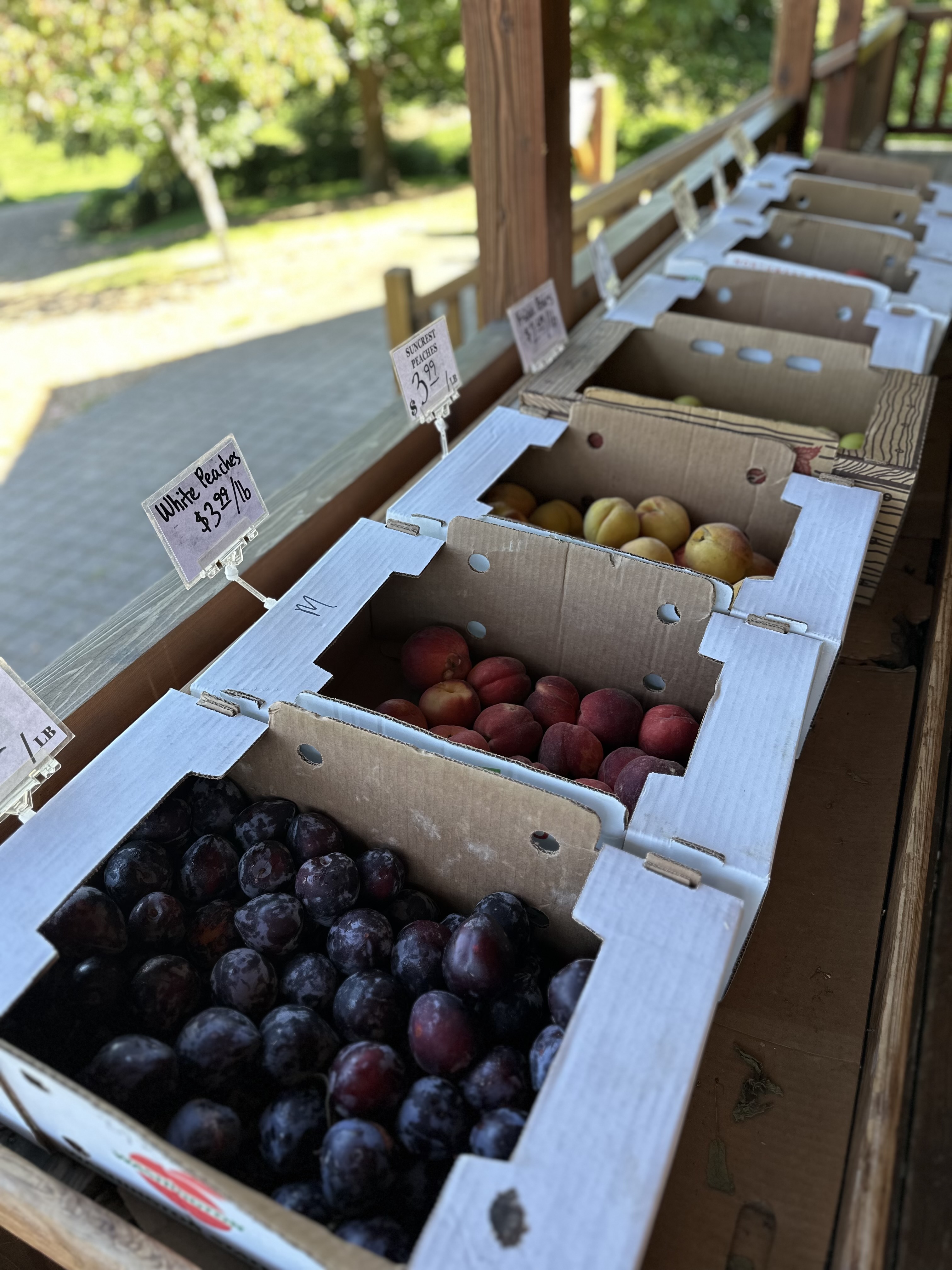 FARM STANDS – Operated by Cha New Life